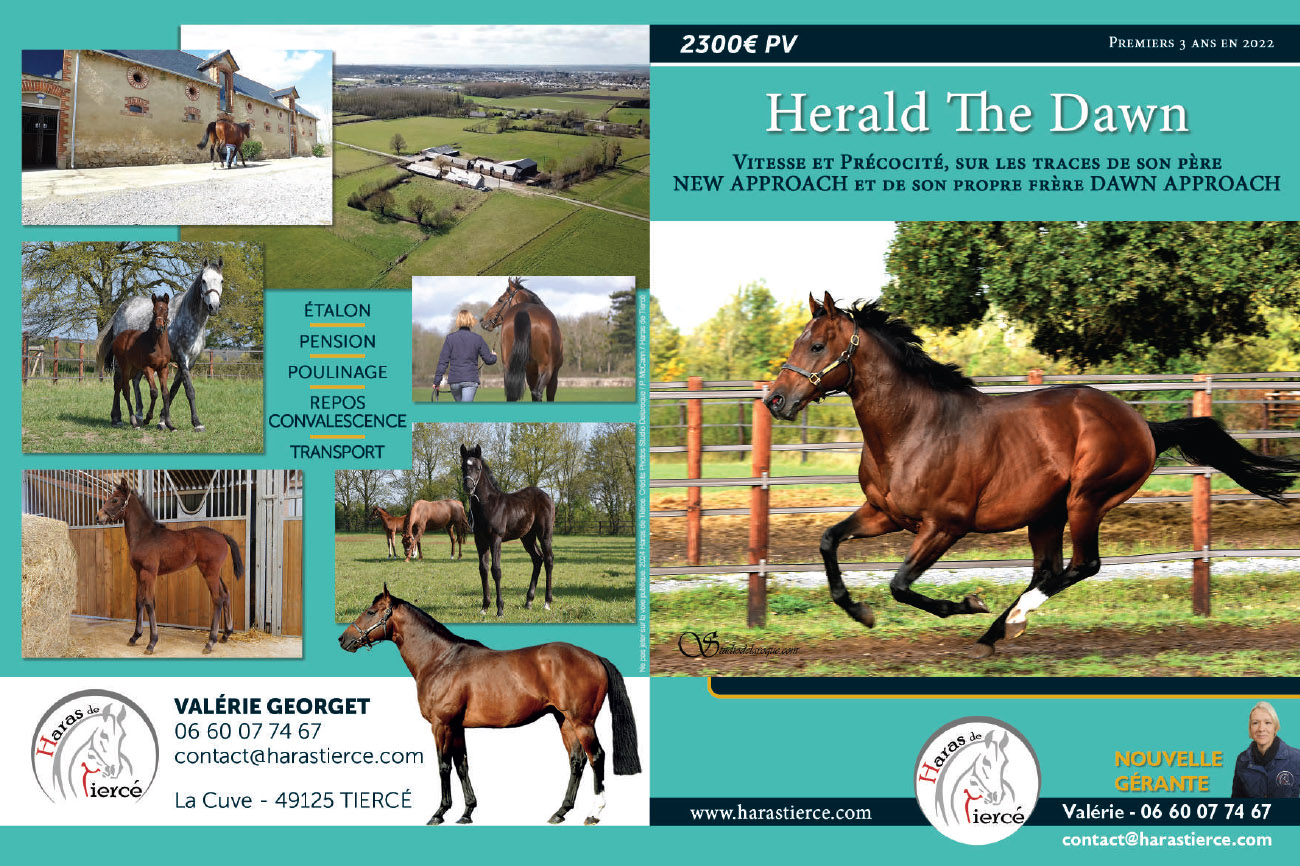 Plaquette 2024 | Haras de Tiercé